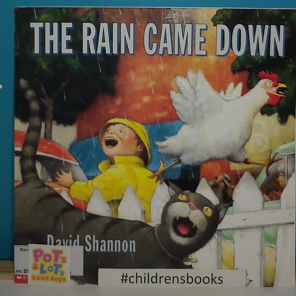 Scholastic's The Rain Came Down Children's Book Educational Book ...