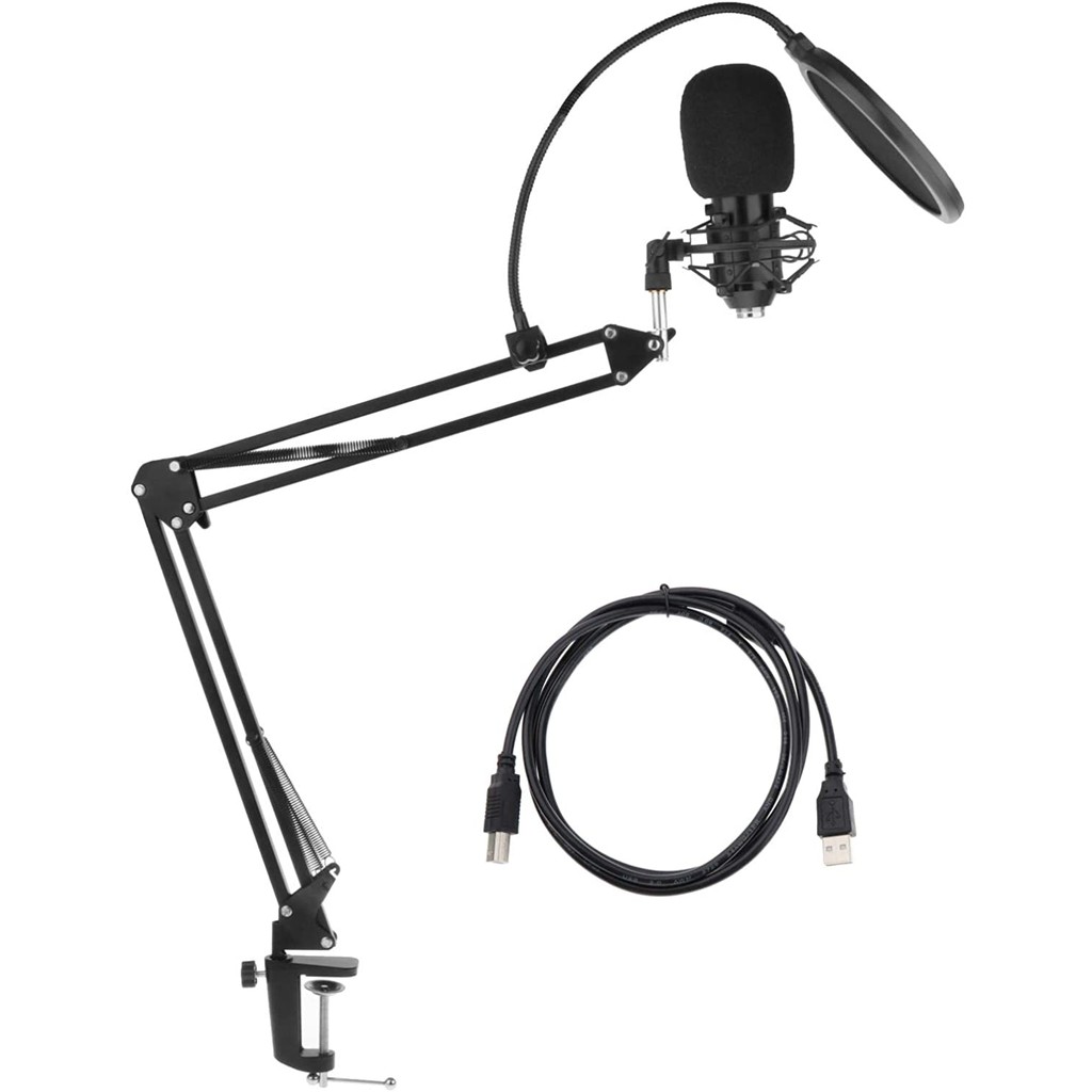 Condenser Microphone Professional Studio Mic Kit with Arm Stand ...
