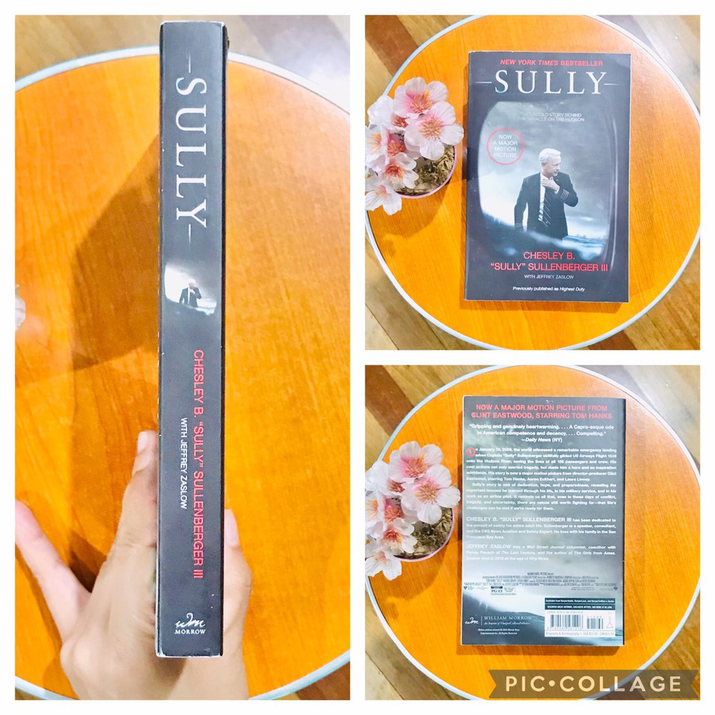 [USED] Sully: The Untold Story Behind the Miracle on the Hudson by ...