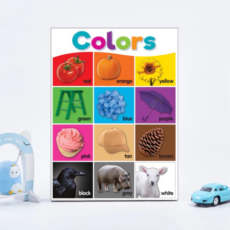 Educational Charts for Kids | Laminated and A4 Size | ABC Shapes Colors ...