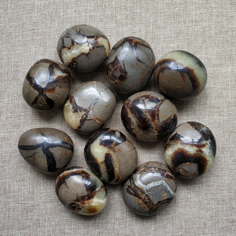septarium plam / spetarian plam /natural crystal stone/ good luck ...