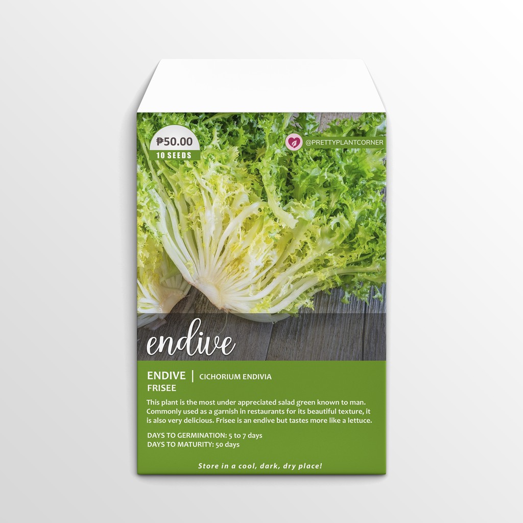 Frisee Curly Endive Seeds | Shopee Philippines