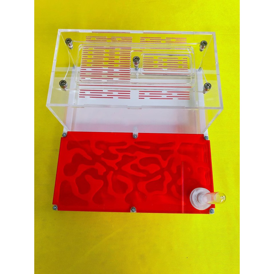 Ant breeding box 20-20-10cm (acrylic Formicarium) | Shopee Philippines