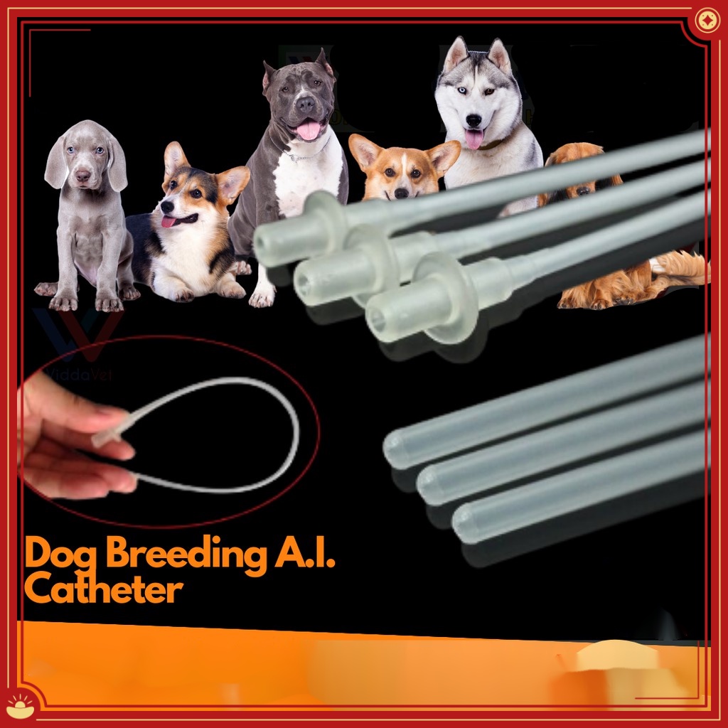 10 pcs Dog Breeding Catheter Disposable Flexible Artificial ...