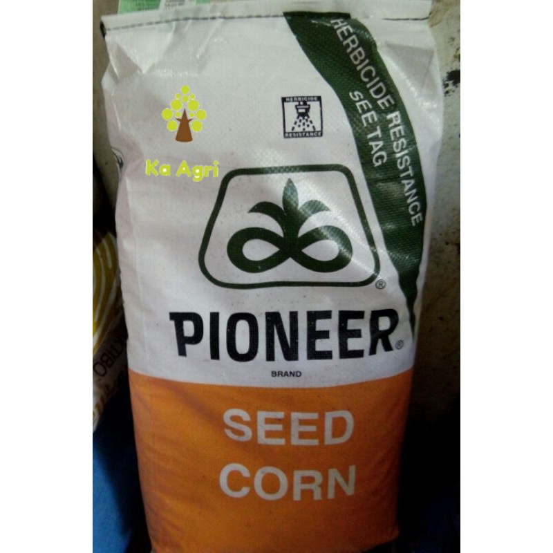 pioneer seeds. P4097YHR | Shopee Philippines