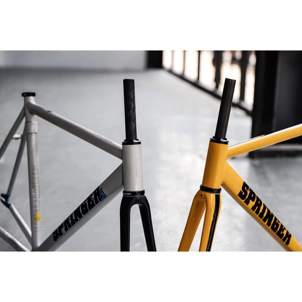 Springer Paradox Track Frame Set | Shopee Philippines