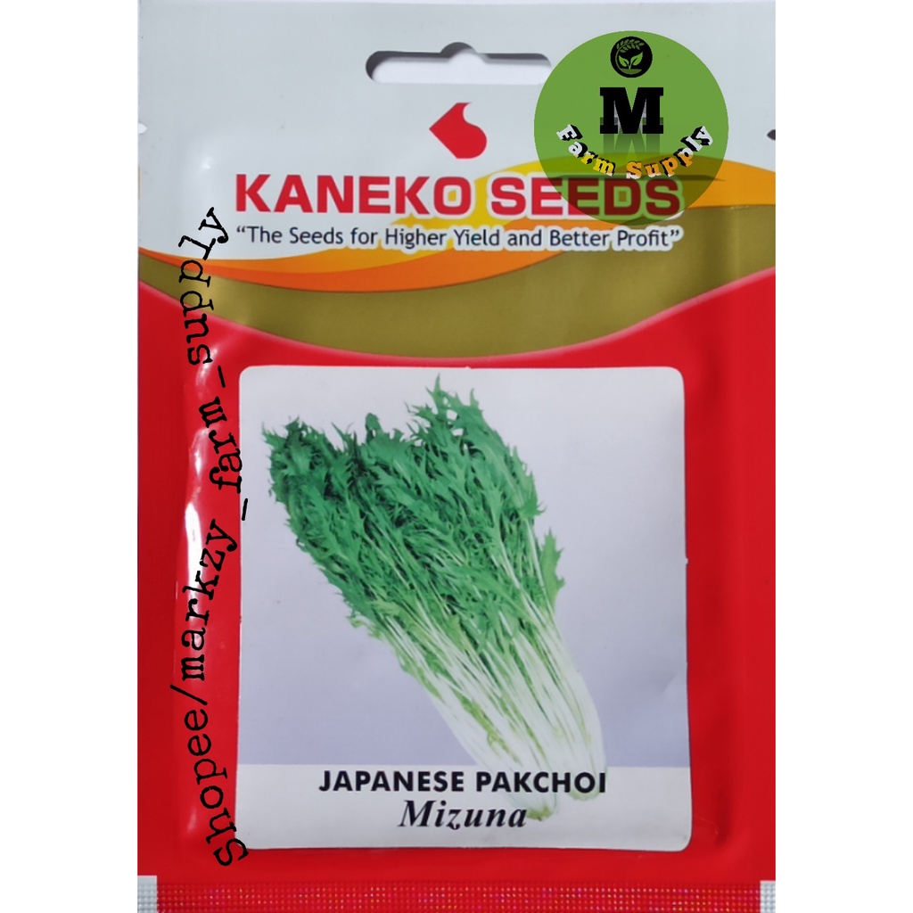 Kaneko Seeds Japanese Mustard Greens (Mizuna Lettuce / Spider Mustasa ...