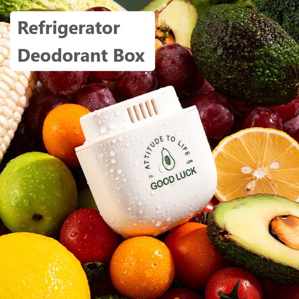 Refrigerator Deodorizer Refrigerator Deodorant Removes Refrigerator ...