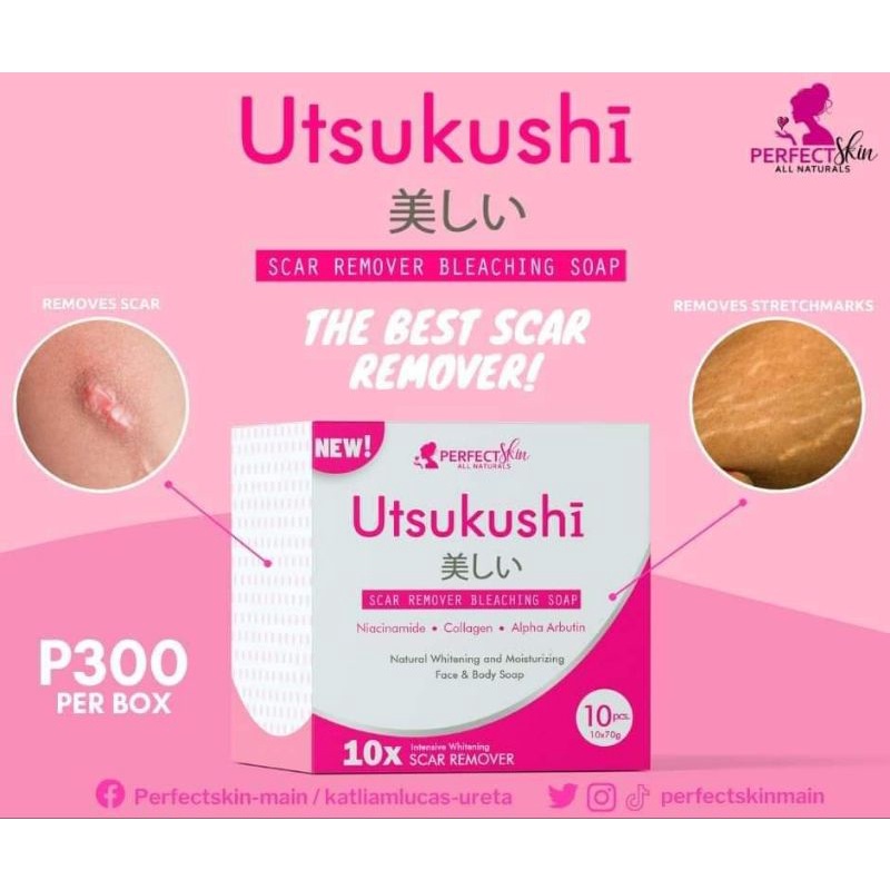 Perfect Skin Utsukushi Scar Remover Bleaching Soap (70g) | Shopee Philippines