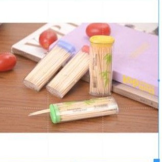 FUNandSMART Toothpick with Case | Shopee Philippines
