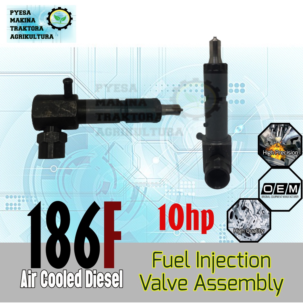 Fuel Injection Valve Assy Nozzle Tip Assembly 186F 10hp Air Cooled ...