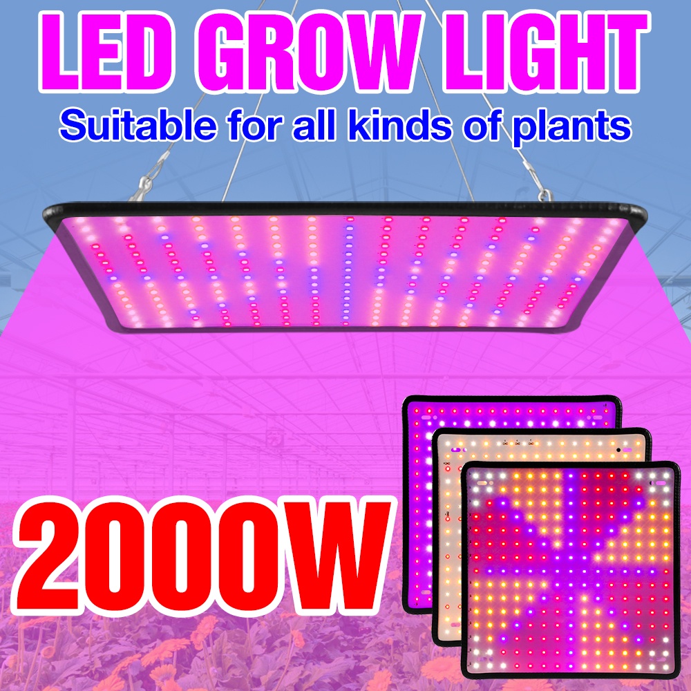 Full Spectrum LED Plant Bulb Flowers Seedlings Hydroponic Phytolamp ...