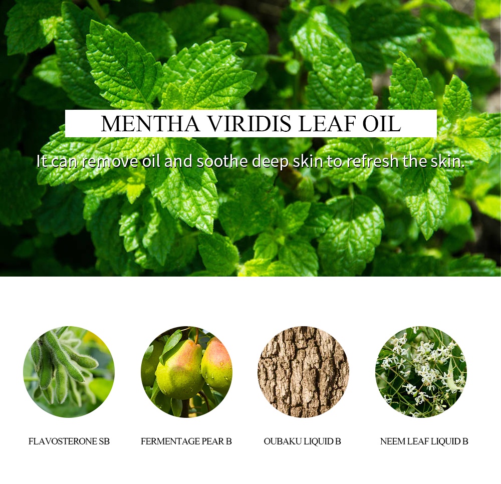 BREYLEE Tea Tree Acne Removal Serum Kit | Shopee Philippines