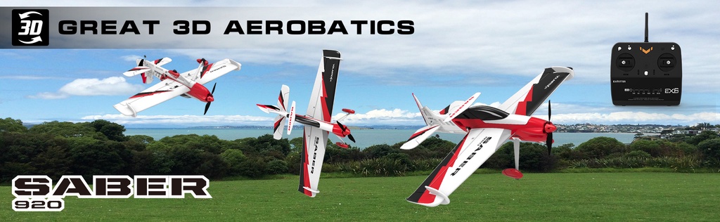 VOLANTEXRC RC Airplane Saber 900 4CH EPO 920mm Wingspan 3D Aerobatic ...