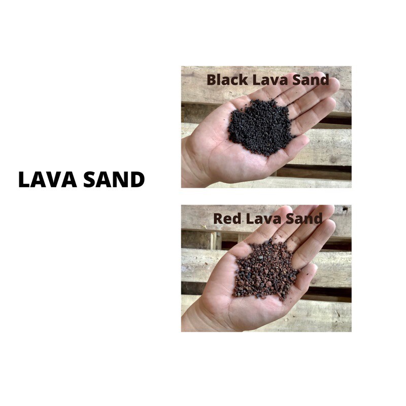 Black and Red Lava Sand (1kg) | Shopee Philippines