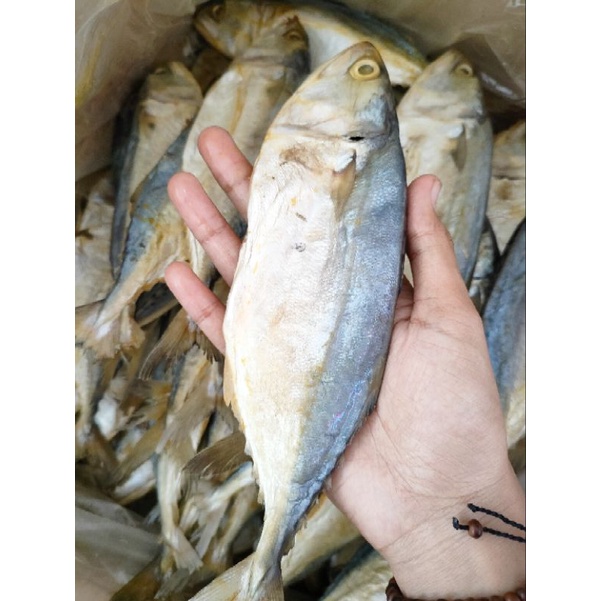 Peda SALTED FISH 250gram | Shopee Philippines