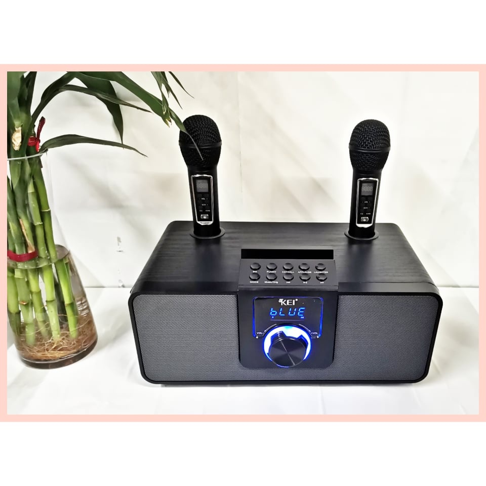 SDRD 306 /SDRD 306 plus/K08 Wireless Bluetooth Dual Microphone Karaoke Portable Stereo Speaker ...