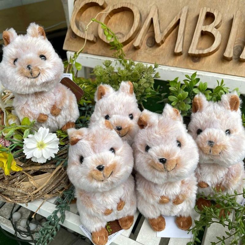 Sunlemon Quokka Plushie (PENTAGON) | Shopee Philippines