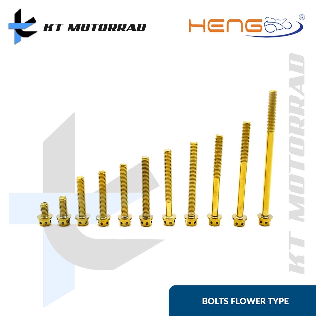 KT HENG FLOWER TYPE 6X10 to 6x90 MOTORCYCLE BOLTS (sold as piece ...