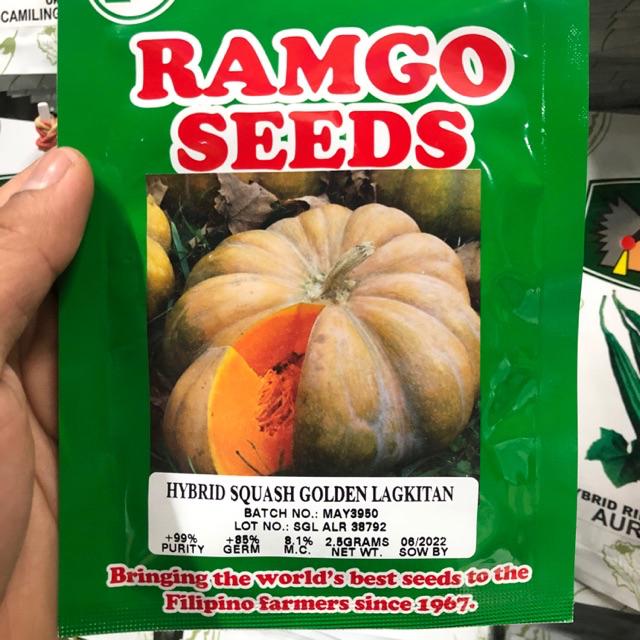 KALABASA SQUASH SEEDS - HYBRID SQUASH KALABASA SEEDS PACK SIZE ...