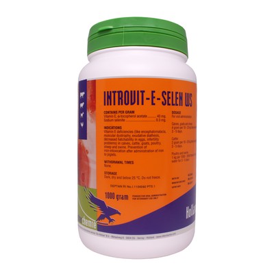 Introvit Animal Medicine E-sellen 100 Gr | Shopee Philippines