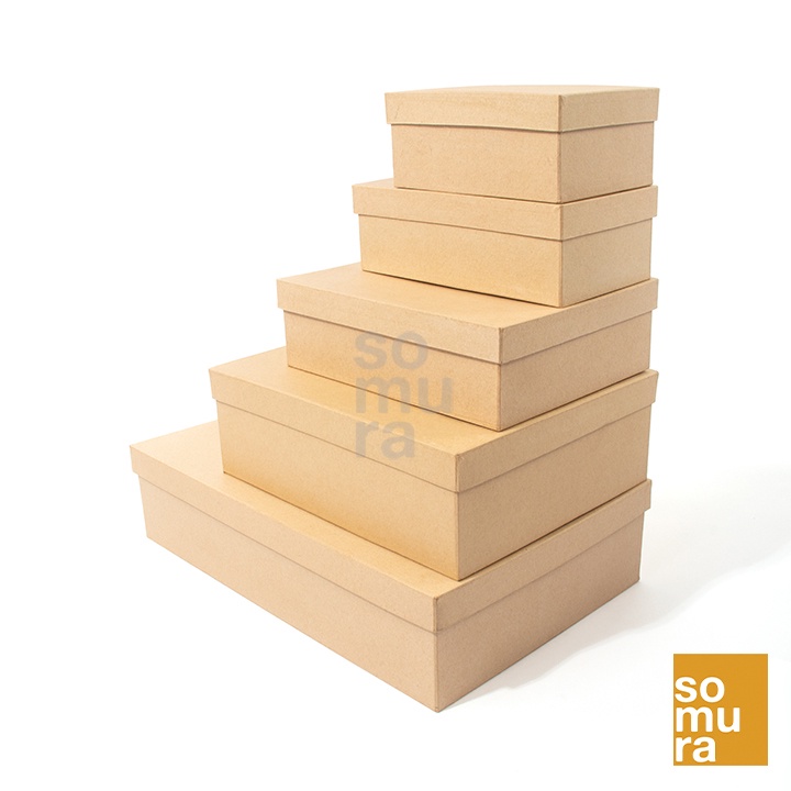 Regular Hard Box Packaging Box Cube/Square/Rectangular Box (SSC885 ...