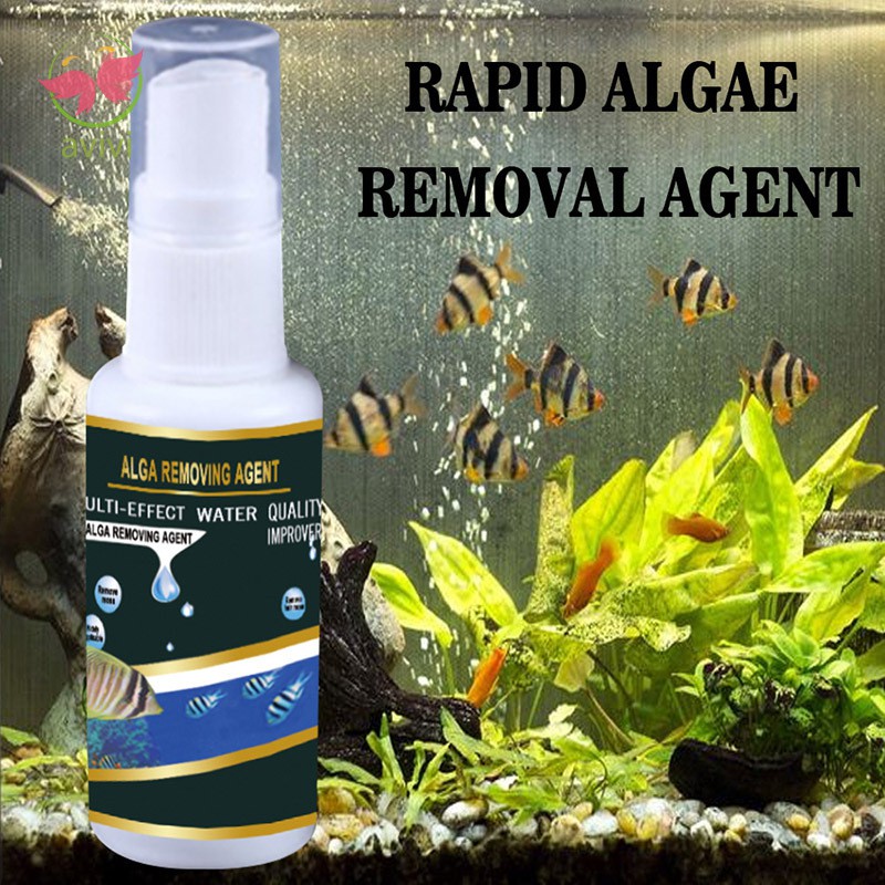 Algae Purifier Aquarium Safe Algae Remover Water Purification for Fish ...