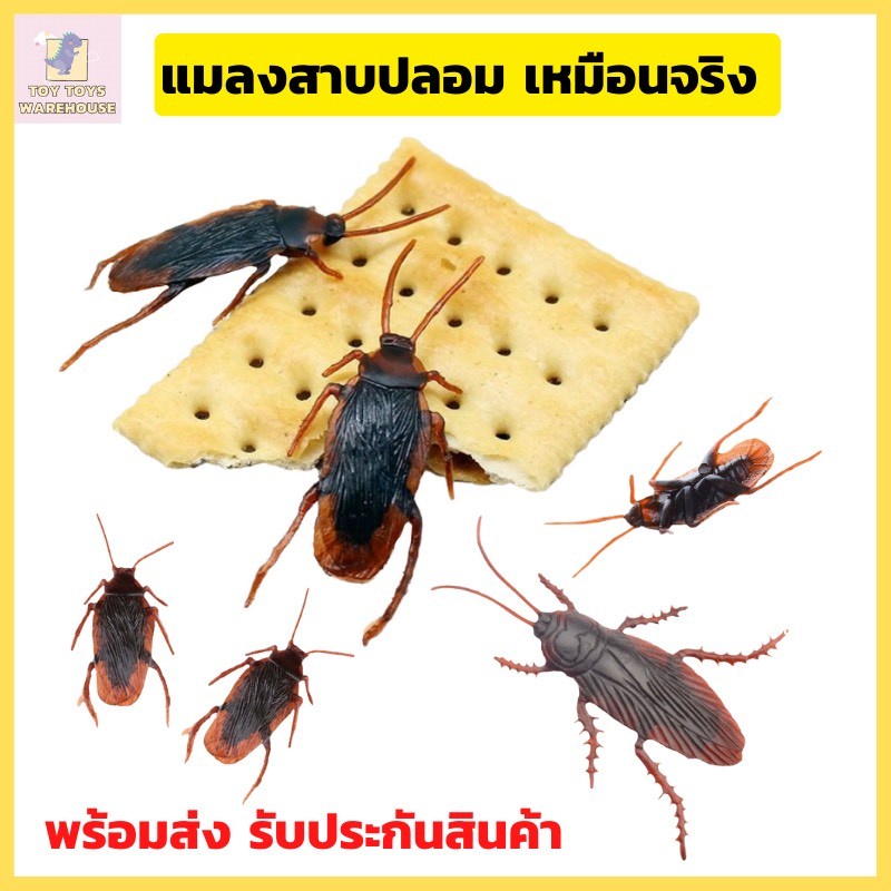 Cockroach Fake Cockroach Cat Toy Cockroach Toy Cockroach Cat Cockroach ...