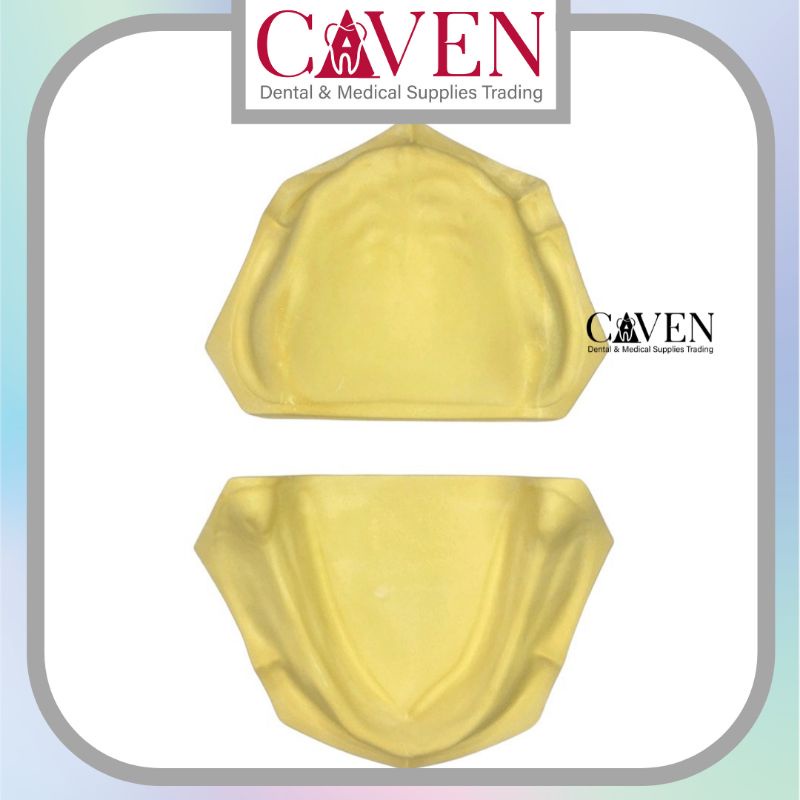 Edentulous Model Cast Teeth Model Study Cast for Dental Students (Upper ...