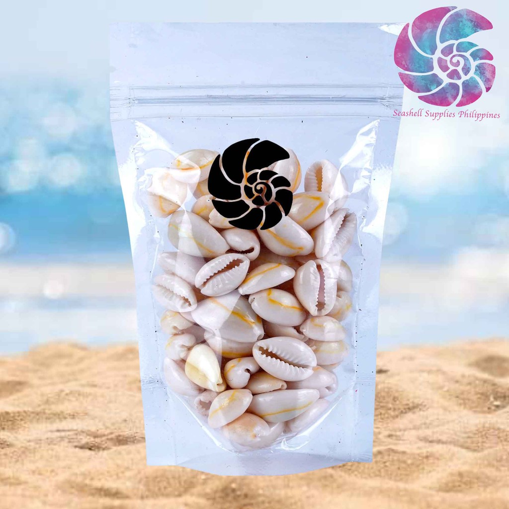 Sigay Seashells for Sungka | 125 pieces | Shopee Philippines