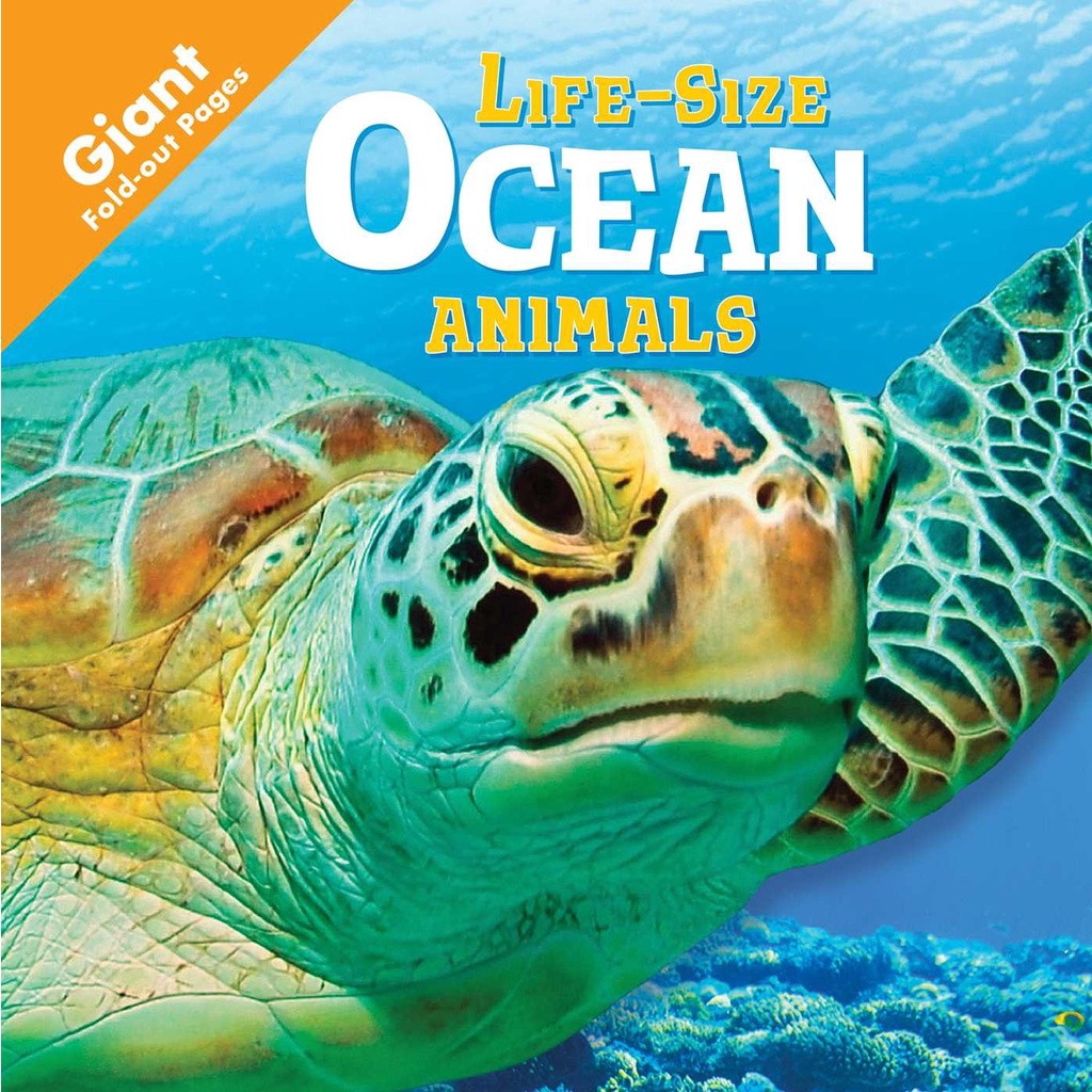 Ocean Animals (Board book – Lift the flap) | Shopee Philippines