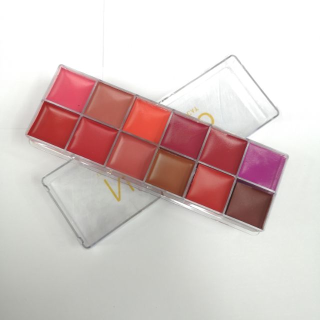 N Lips Make Up Basic Lipstick Palette 12 colors | Shopee Philippines