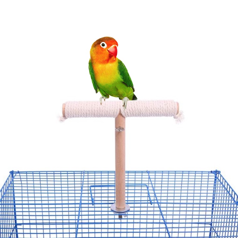 Bird Perch Natural Wood Stand with Rope for Cockatiels Conures Budgies ...