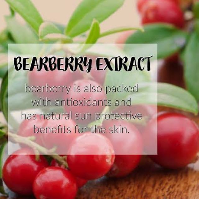Bearberry Extract (oil-soluble) | Shopee Philippines