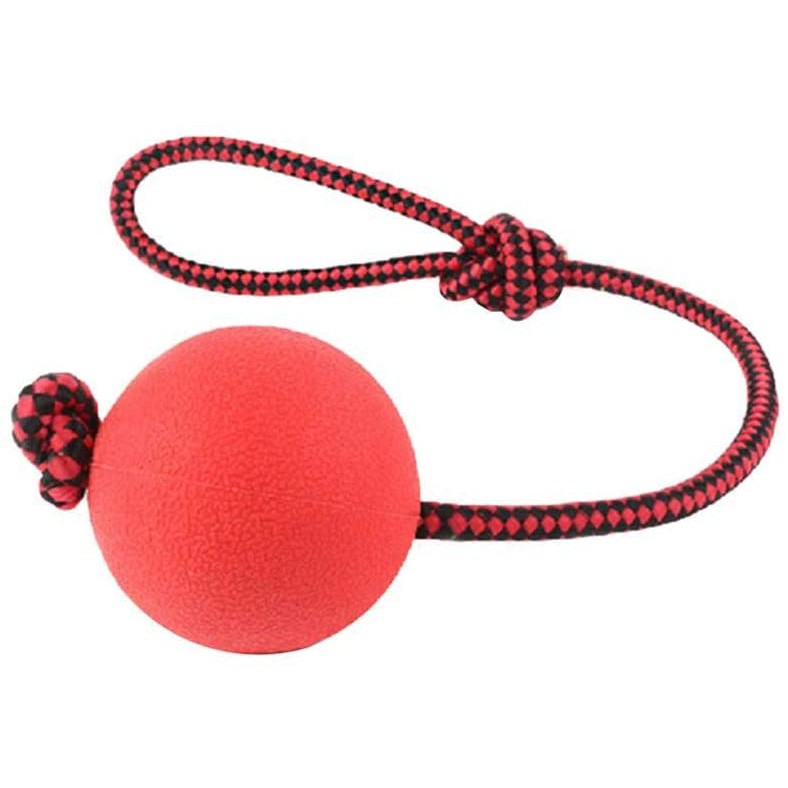 Solid Indestructible Rubber Bite Ball With Rope Chew Toy | Shopee ...