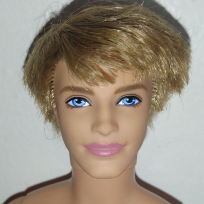 Ken Barbie Fashionistas Doll Articulated Arms Preloved Shopee Philippines