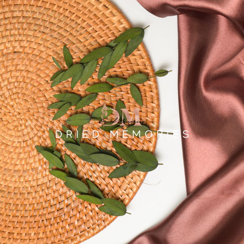 Dried Small Parvi Leaves Real Dried Flowers Gift Wedding Party Home ...