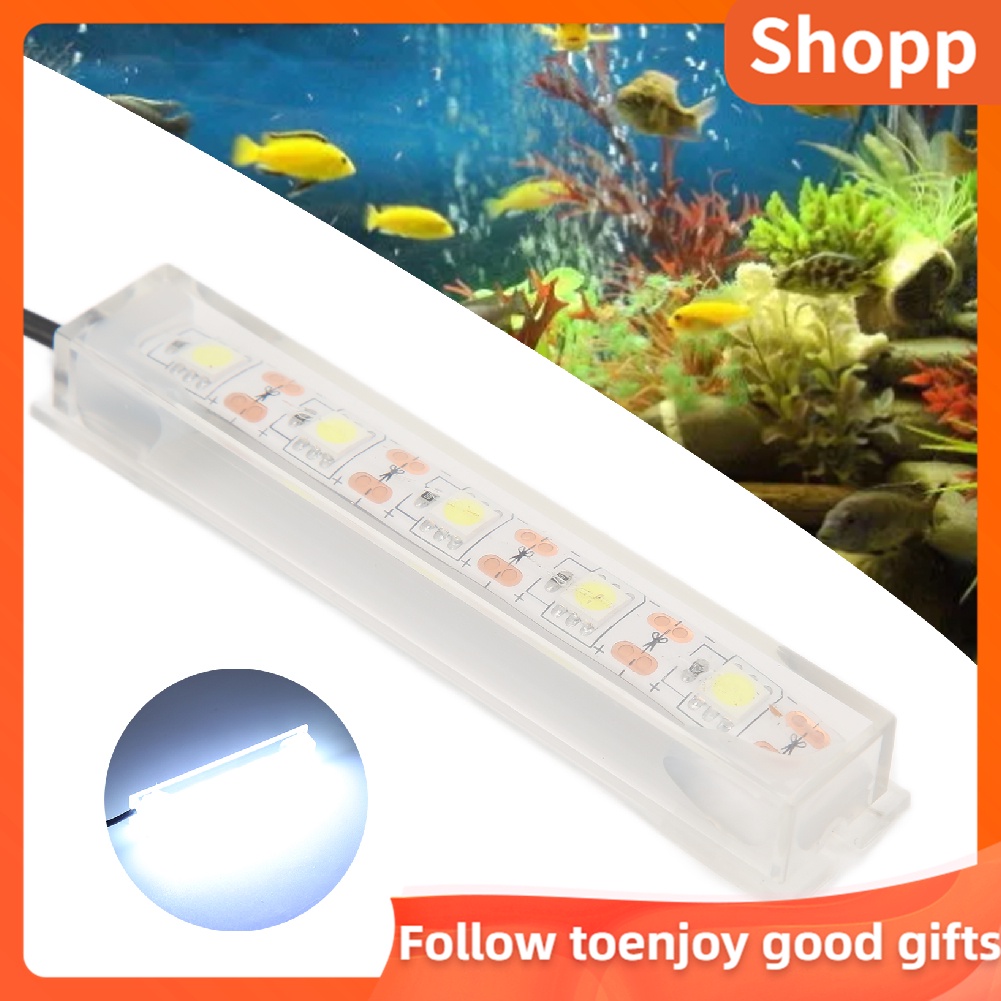 [READY STOCK] Shopp Aquarium LED Light Small USB Betta Fish Tank White ...