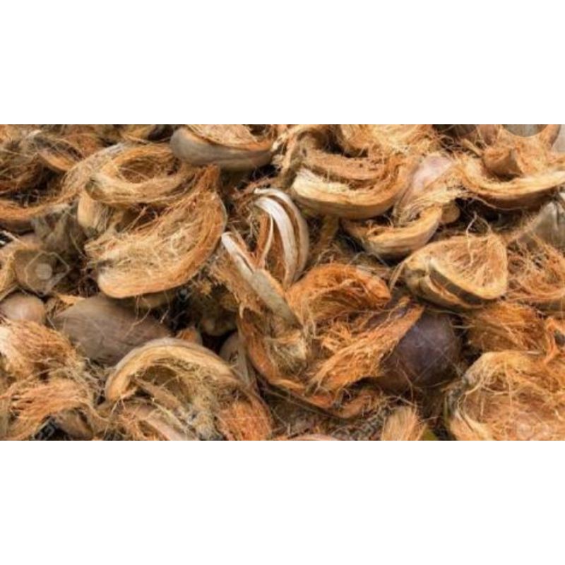 coco fiber/coco chops/coco chips for orchids (bunot) | Shopee Philippines