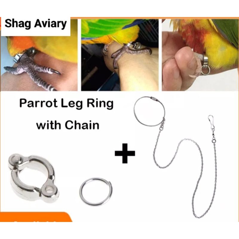 Ring Lovebirds & Parrot size 4mm/5mm/6mm | Shopee Philippines