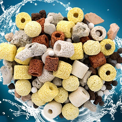 Pumice Stones/Lava Rocks/2in1/4in1/6in1 Aquarium Filter Media 500g in ...