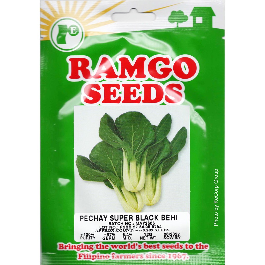 Ramgo Seeds - Pechay Pakchoi Eggplant Ampalaya Patola Upo Sitao Okra ...