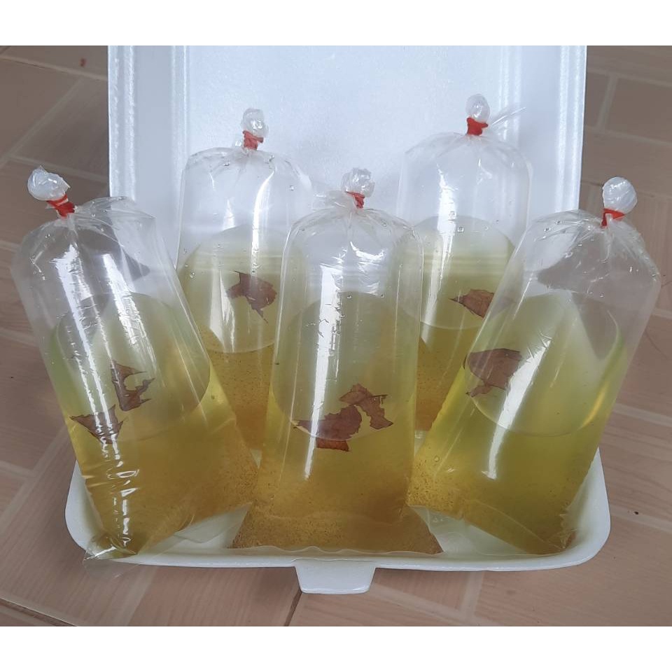 Red Mite Macropa Parent-Child Order 3 Bags For Free!!1 Bottle Of Green ...