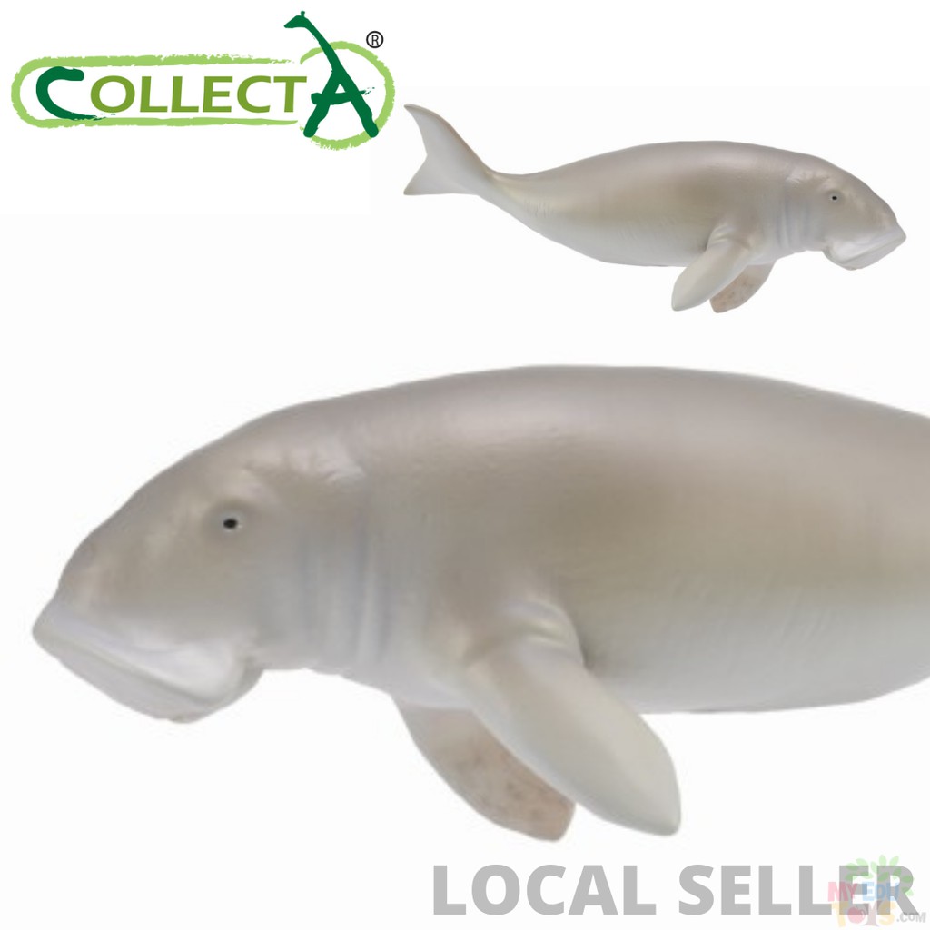 Dugong - Collecta 88766 Ocean Sea Life Animal Action Figure / Toy ...