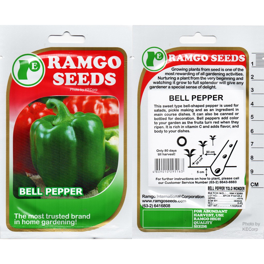 Ramgo Seeds - Sold Per Pack Per Variety - Pakchoi Bell Pepper Carrot ...