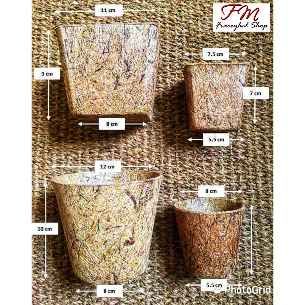 COCO POT - Organic Propagation Pot (Whole sale 50pcs/pack) | Shopee ...