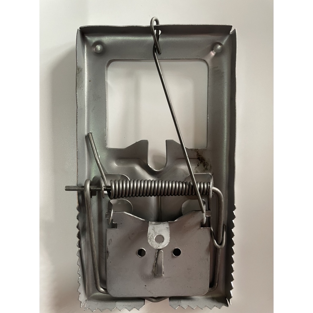 Mousetrap Spring-Type Clip-On | Shopee Philippines