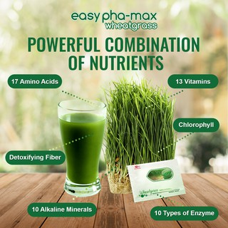 Easy Phamax Wheatgrass Lemon 25s | Shopee Philippines