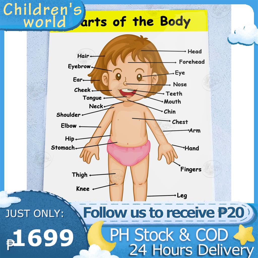 ┋Kids Educational Wall Chart , A4 size Alphabet , Colors, Shapes (LAMINATED) | Shopee Philippines