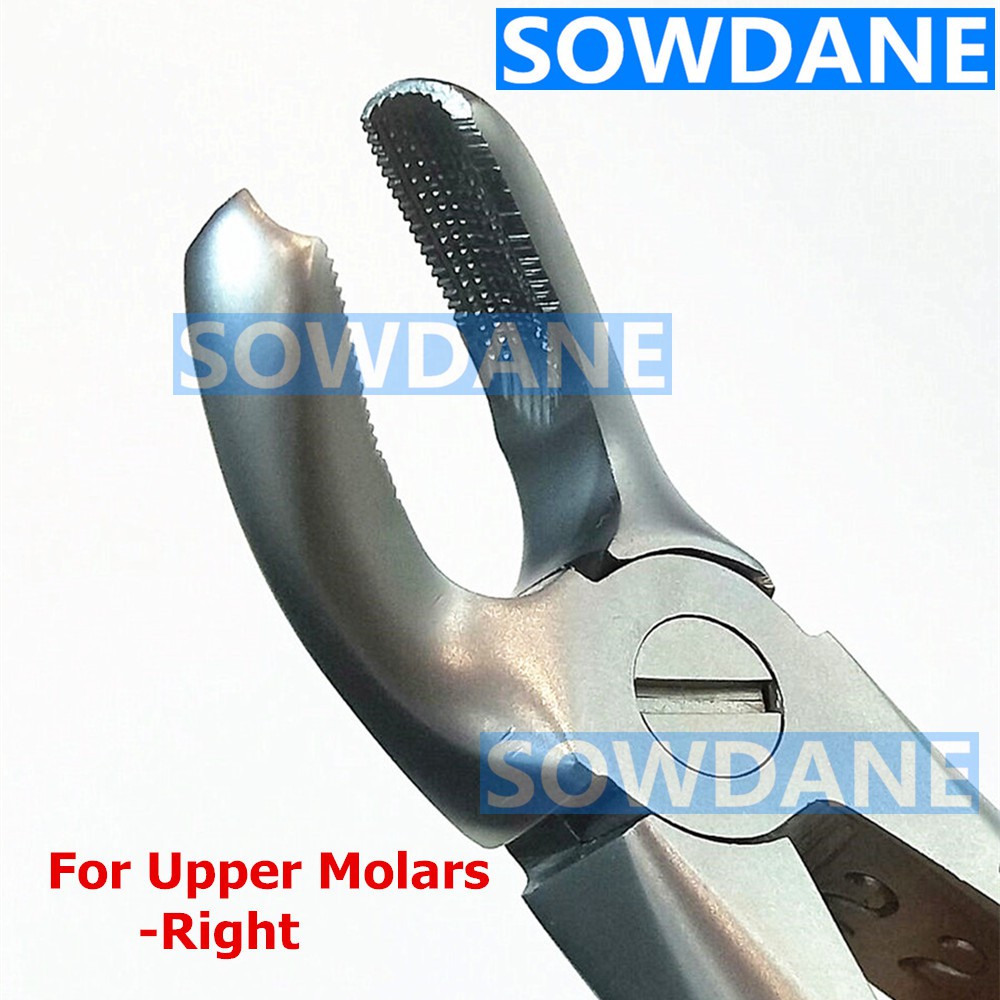 1 piece Dental Adult Tooth Extraction Forceps Pliers For Upper Right ...